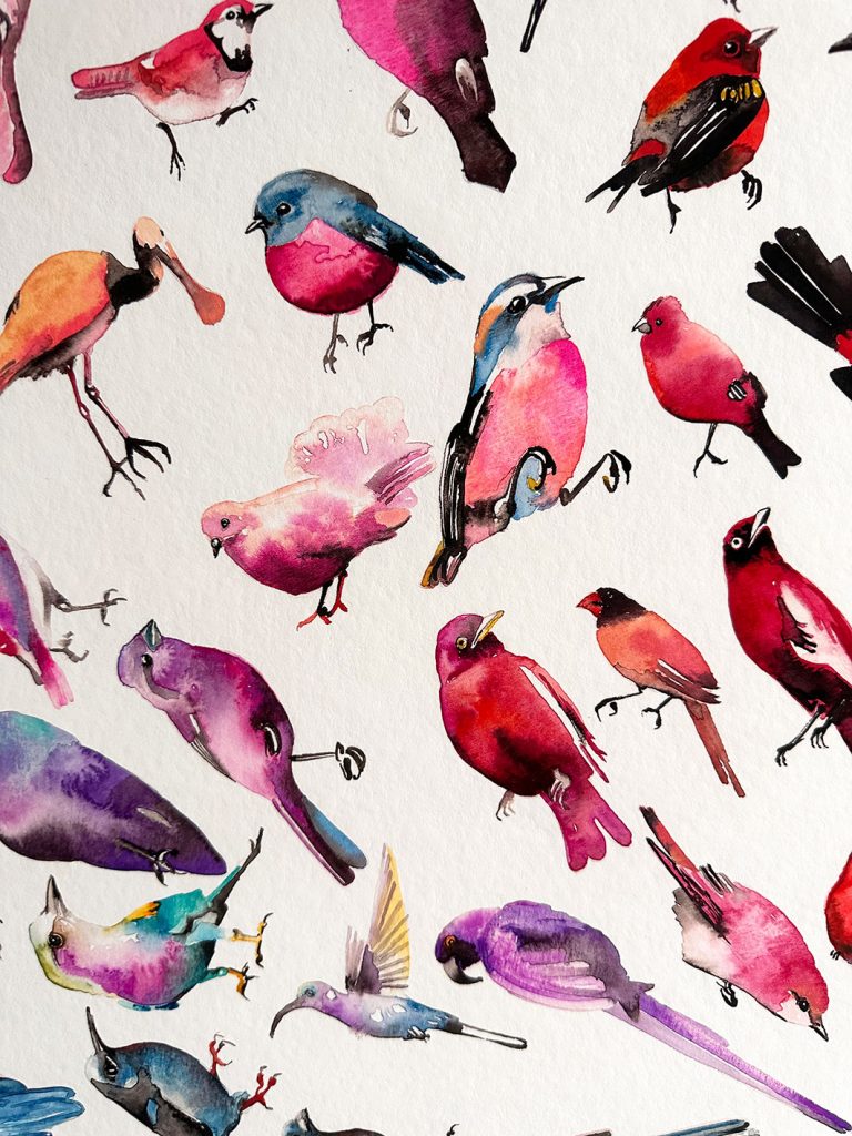 Extra Large Bird Colour Wheel - Cornwall Contemporary