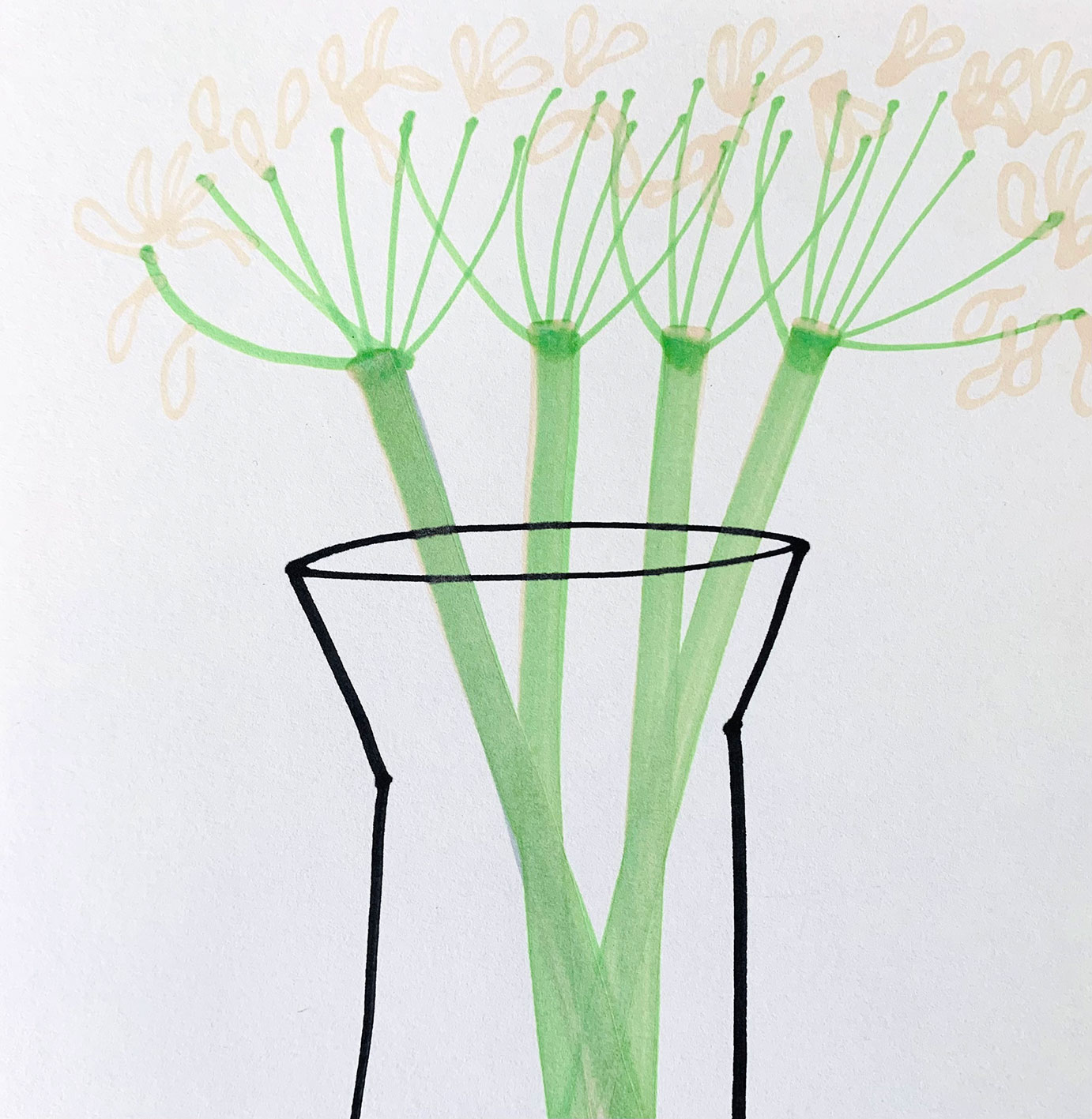 Drawing for 20 stems - Cornwall Contemporary